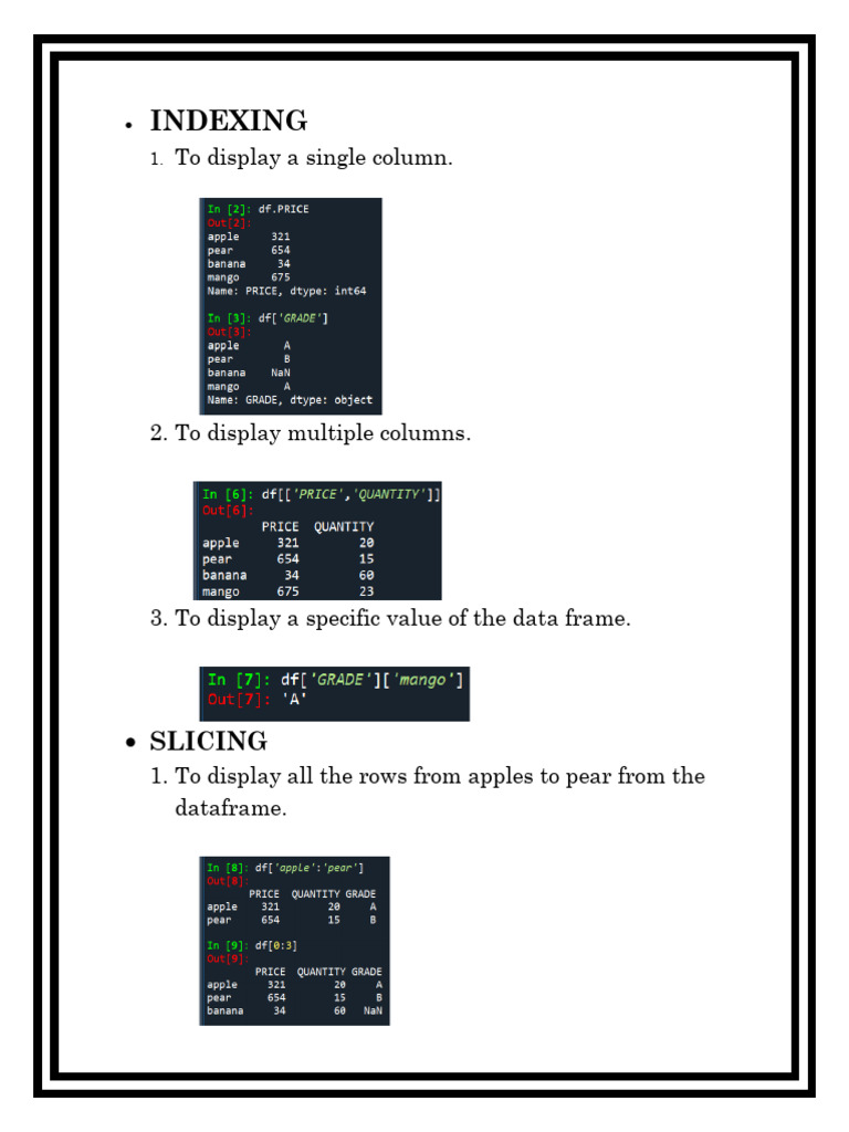 Rimsha Parveen Python 12th | PDF