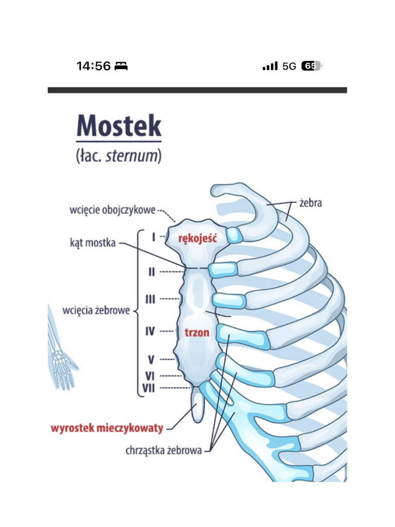 Budowa Mostka | PDF