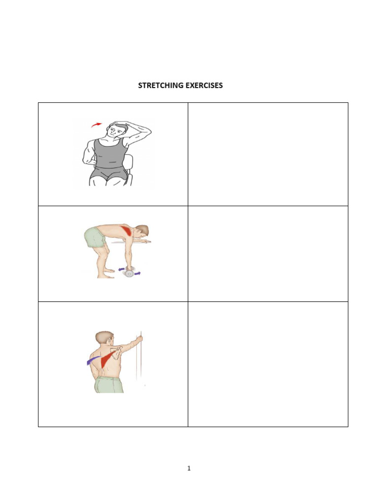 Trapezius Stretching Exercises Guide | PDF | Anatomical Terms Of Motion ...