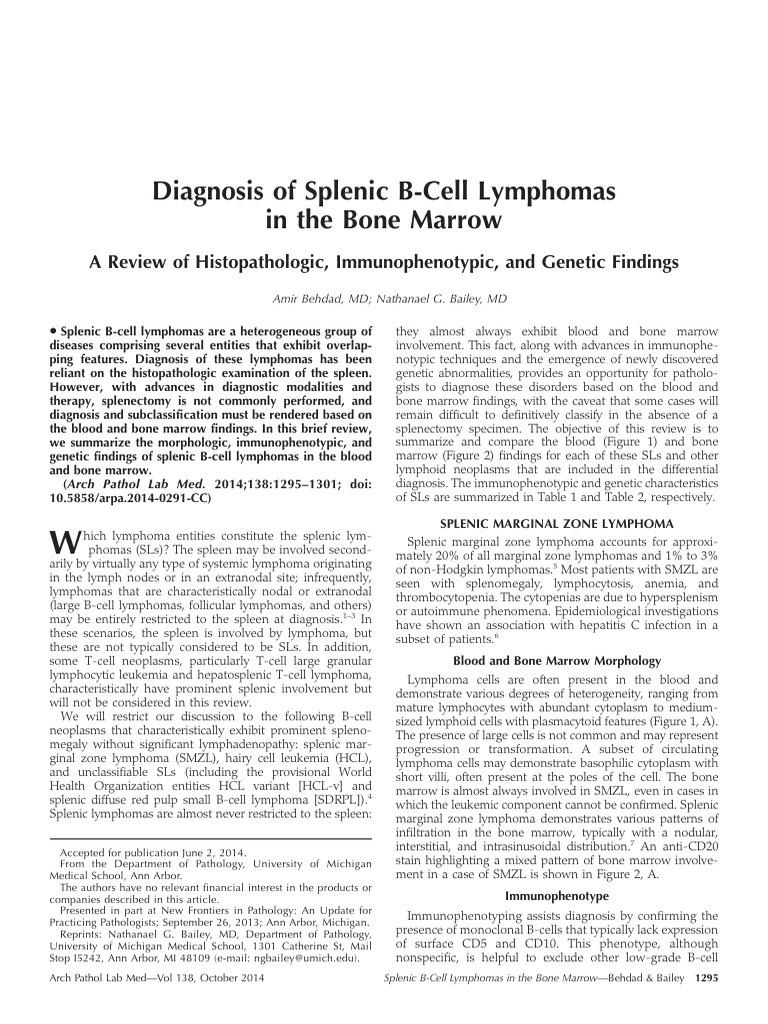 splenic B cell lymphoma in bone marrow | PDF | Lymphoma | B Cell