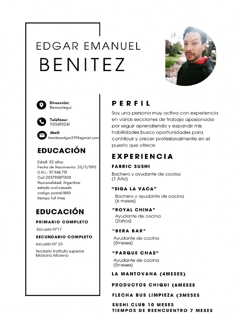CV Profesional - 1 | PDF