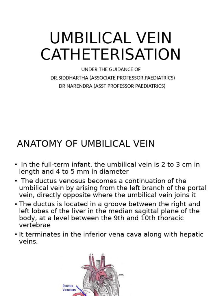 Umbilical Vein Catheterization Guide | PDF | Vein | Clinical Medicine