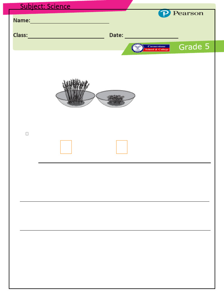 Grade 5 Science Diagnostic Sheet | PDF | String Instruments ...