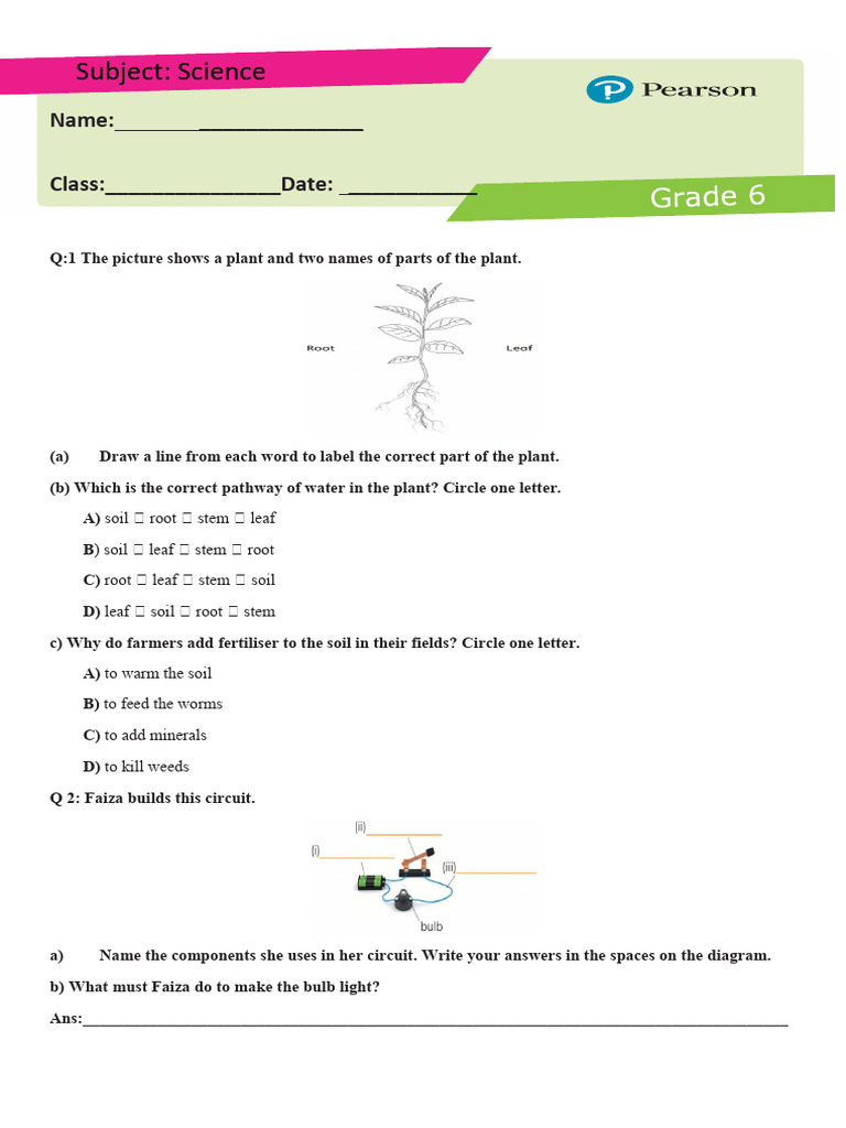 Diagnostic Science Grade 6 | PDF