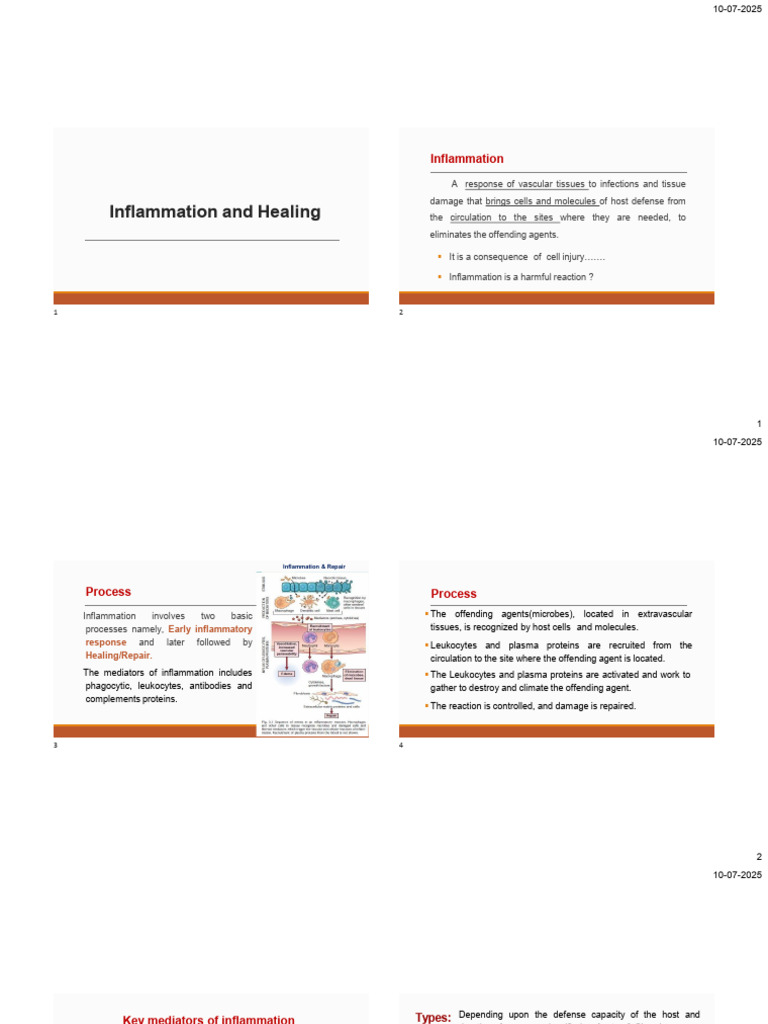 Inflammation and Healing Processes | PDF | Inflammation | Wound Healing