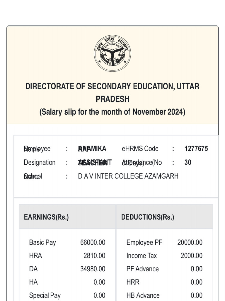 Salary Slip For The Month of November 2024 | PDF
