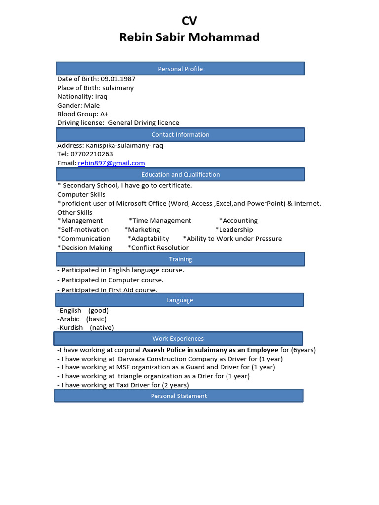 Rebin Rashid's Professional CV | PDF