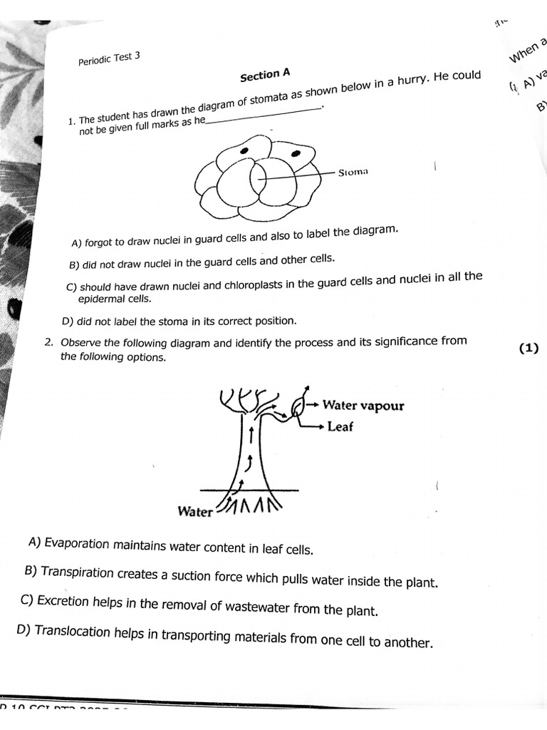 Pt3 Science | PDF