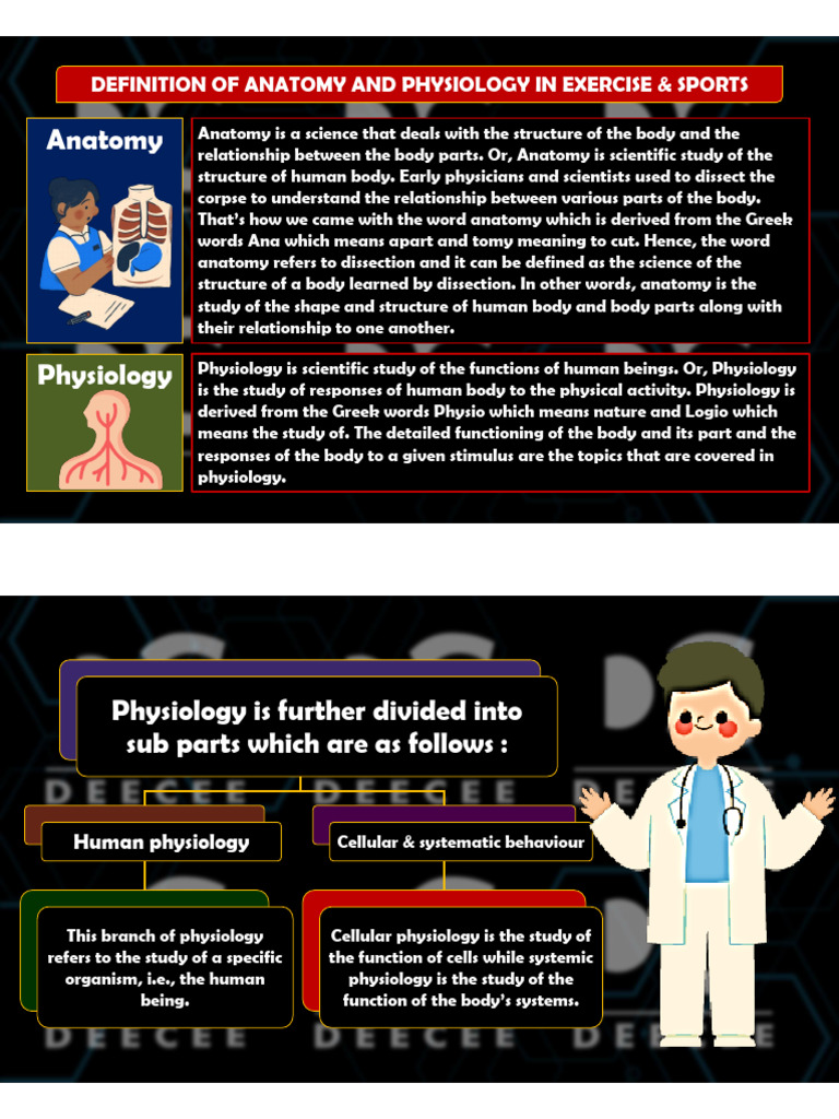 Fundamentals of Anatomy and Physiology in Sports | PDF | Respiratory ...