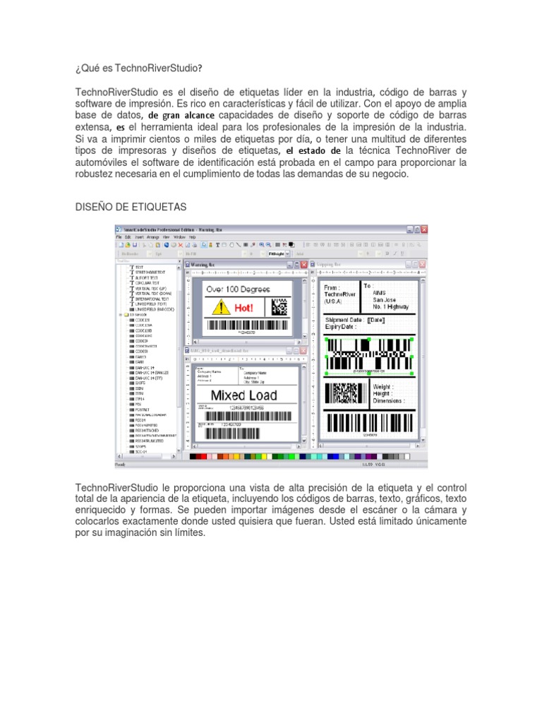 Qué Es TechnoRiverStudio | PDF | Código de barras | Impresora (Computación)