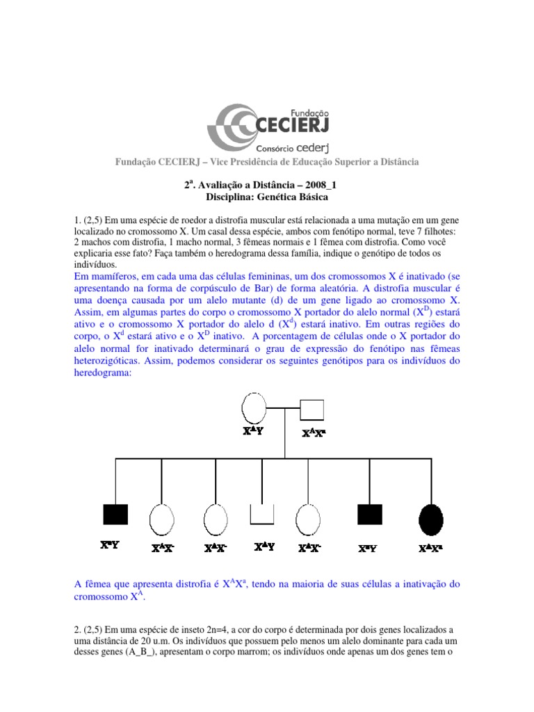 122 AD2 Gen Tica 2008 1 Gabarito 1 | PDF | Alelo | Dominância (genética)