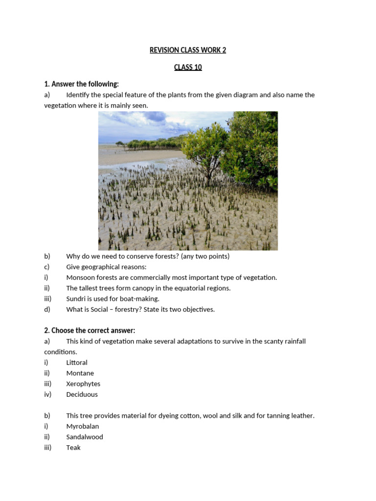 Revision Work 2 | PDF