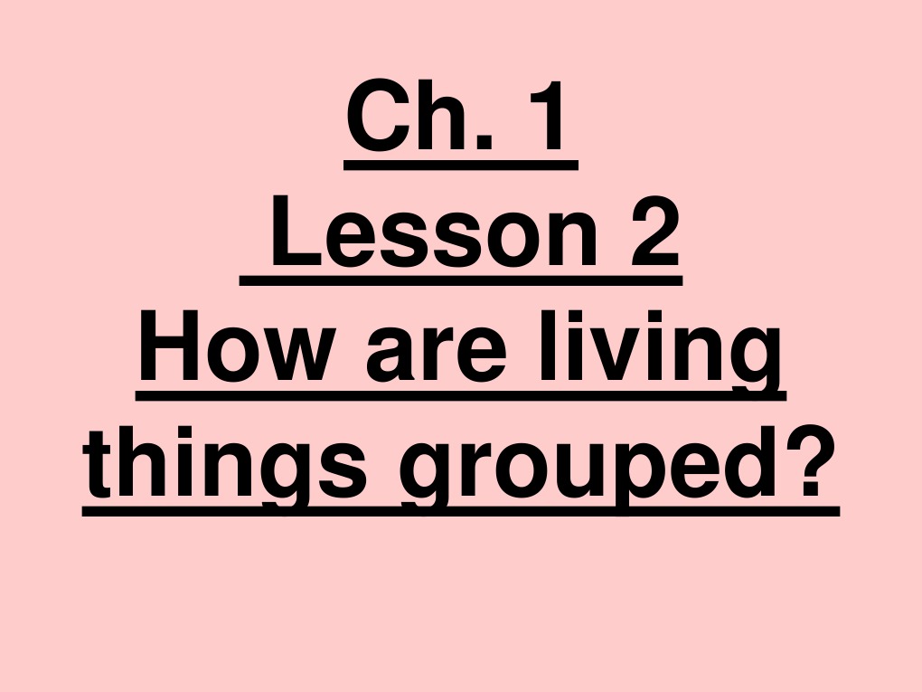 Lesson 2 How Are Living Things Grouped? | PDF | Home & Garden | Wellness