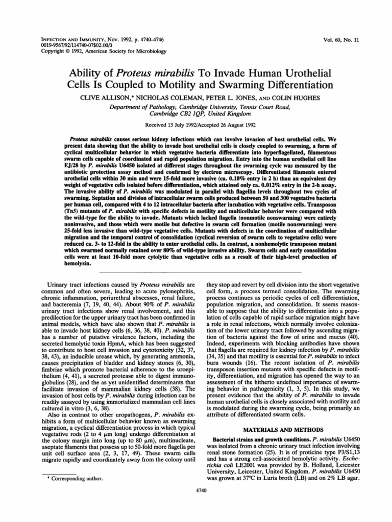 Ability of Proteus Mirabilis To Invade Human Urothelial Cells Is Coupled To Motility and ...