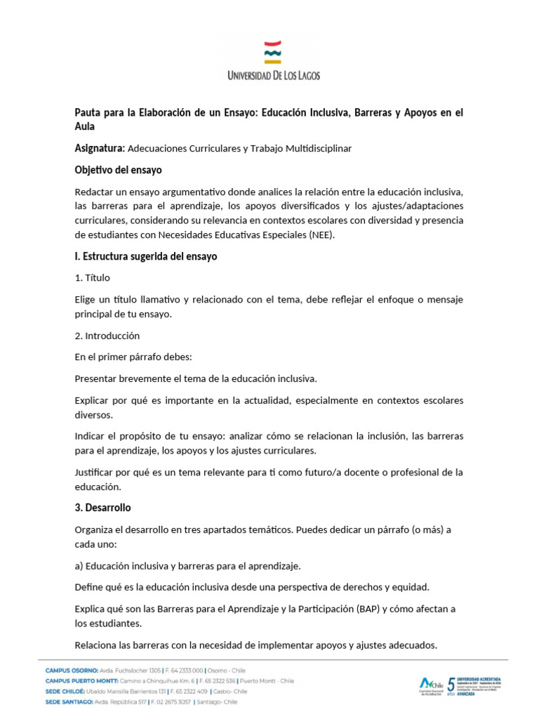 Pauta Ensayo | PDF | Plan de estudios | Ensayos