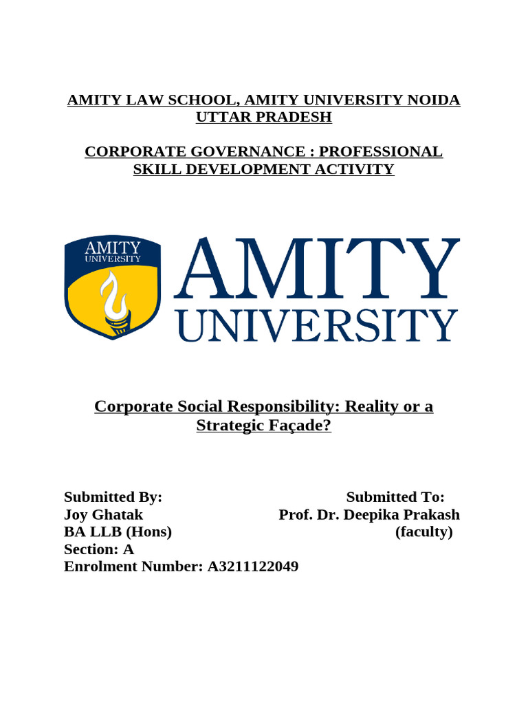 Corporate Social Responsibility Research Paper Final | PDF | Corporate ...