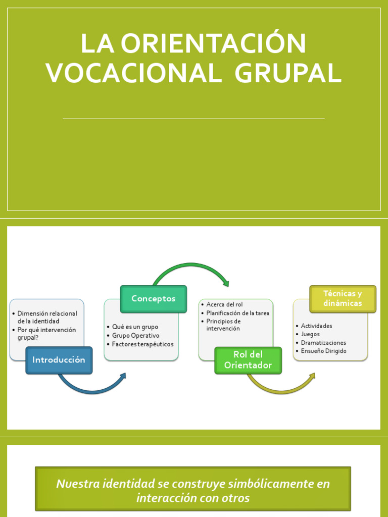Orientación Vocacional Grupal: Técnicas y Roles | PDF | Aprendizaje | Sueño