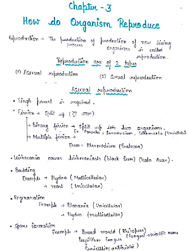 Class 10 Science Biology Chapter 3 How To Organisms Reproduce Complete ...