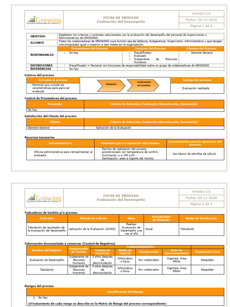 Ficha de Proceso Evaluación de Desempeño V3 | PDF | Evaluación de desempeño | Informática