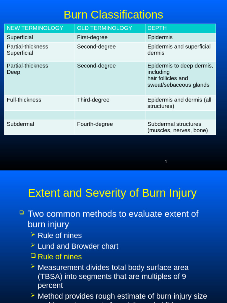 Managment of Burn 10 | PDF | Burn | Intravenous Therapy