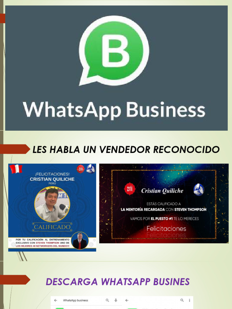 WSP Business | PDF