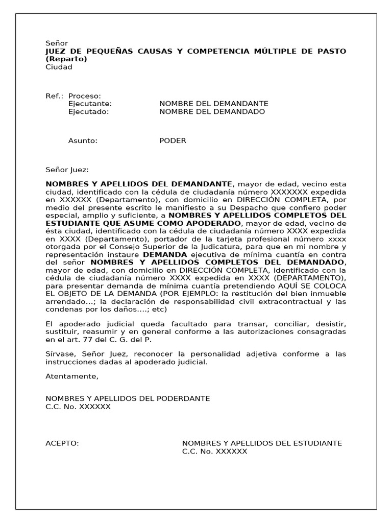 Poder Judicial para Demanda Ejecutiva | PDF