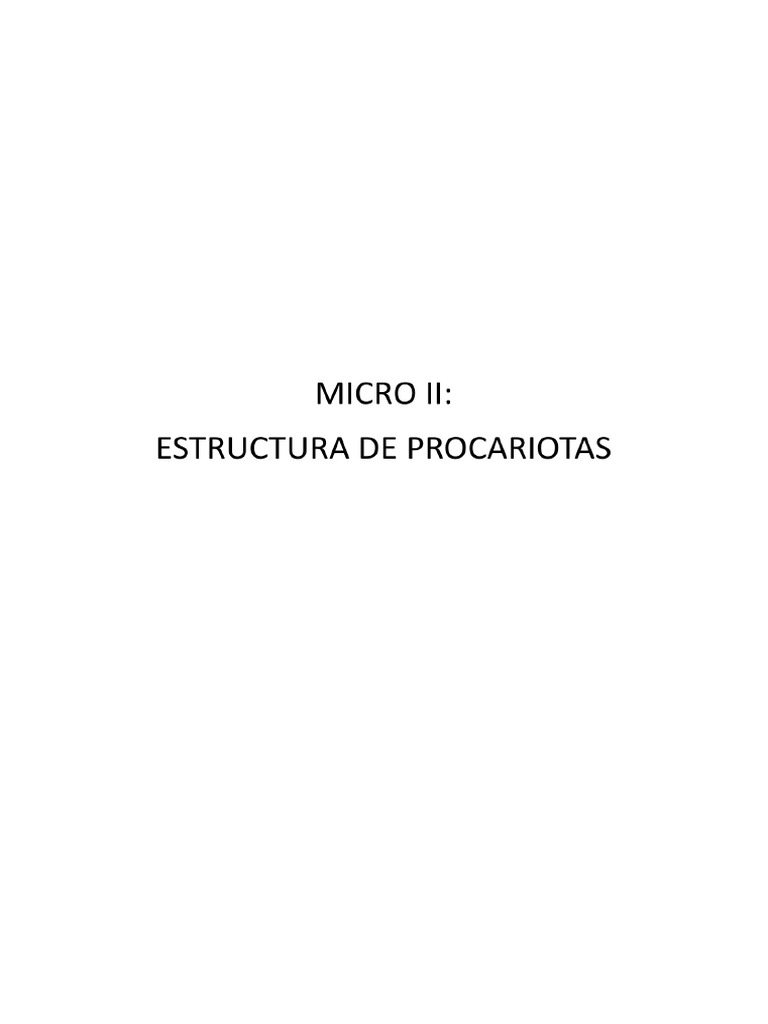 MICRO II | PDF