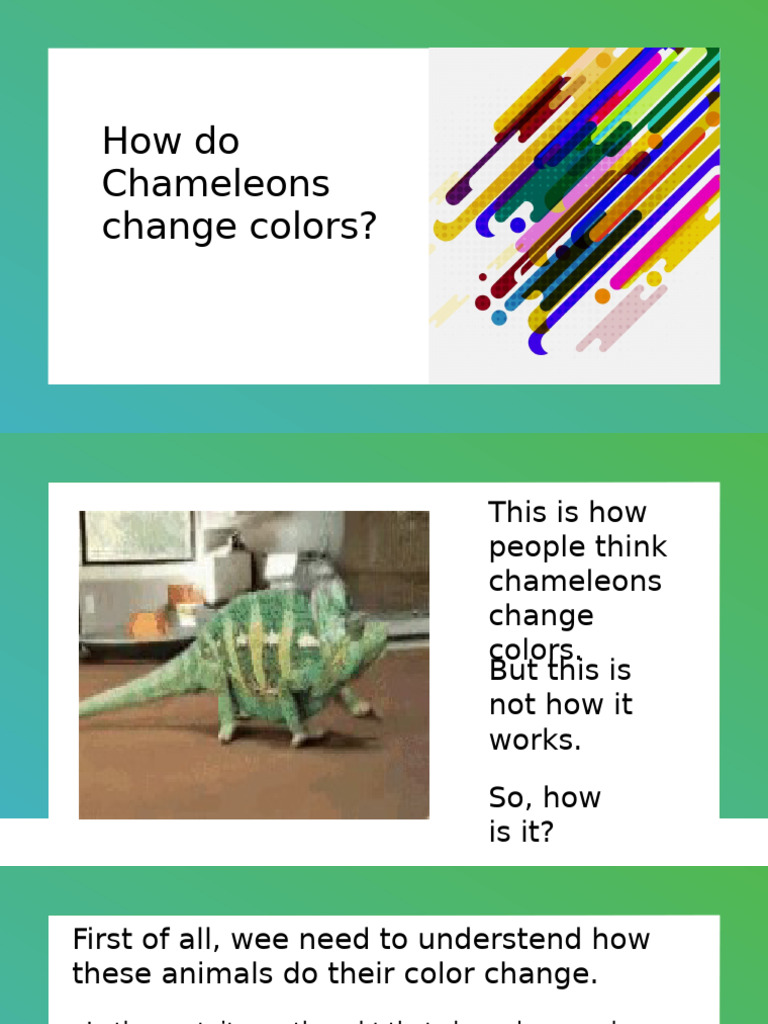 How Chameleons Change Colors Explained | PDF