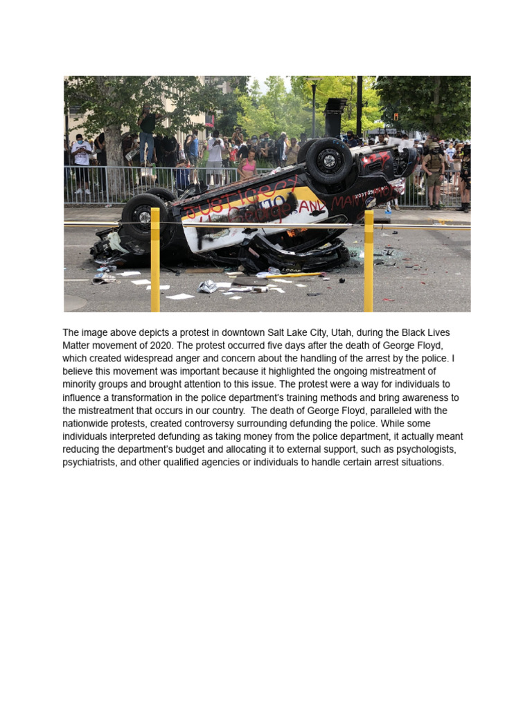 Social Movement | PDF
