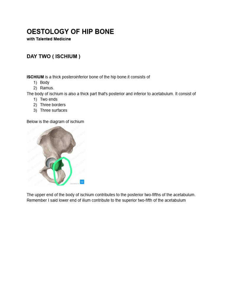 Oestology of Hip Bone Day 2 | PDF | Musculoskeletal System | Limbs ...