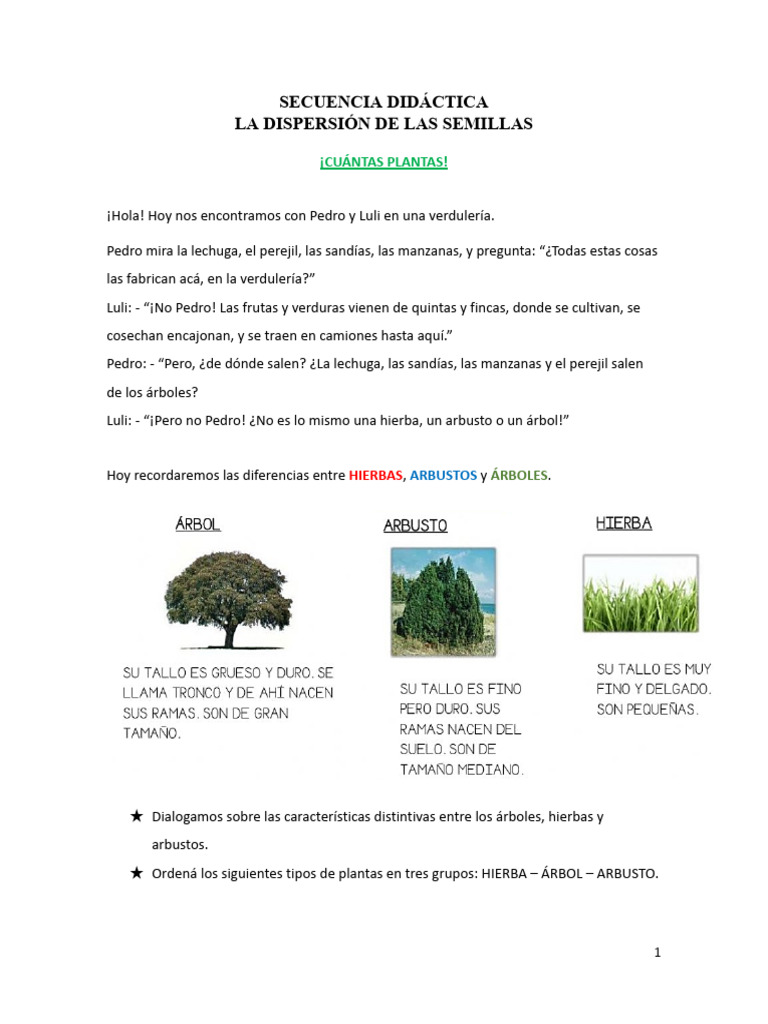 Dispersión de Las Semillas 2do Grado | PDF | Plantas | Semilla