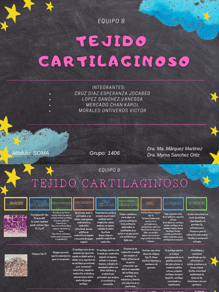 Células Condrogénicas y Cartílago Cuneiforme | PDF | Cartílago | La ...