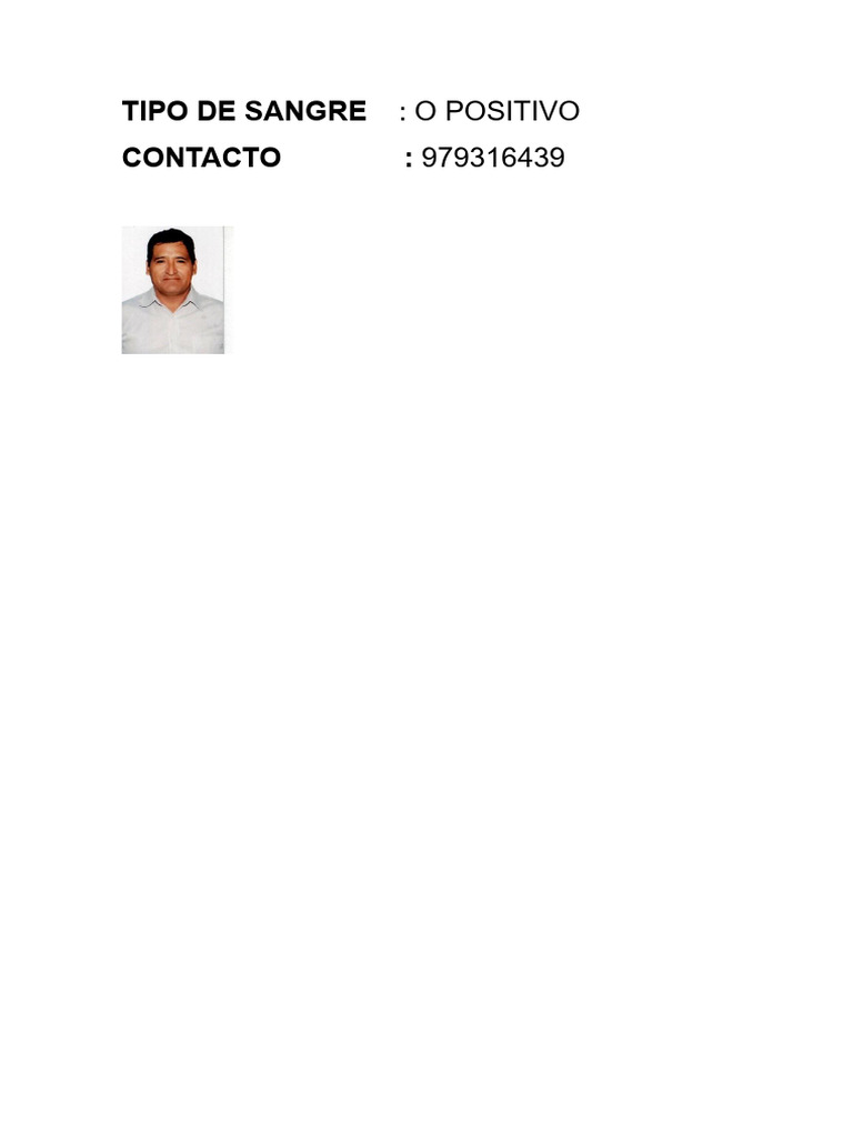 Cv. Roman Huaman Reyes01 | PDF | Vehículos comerciales | Transporte