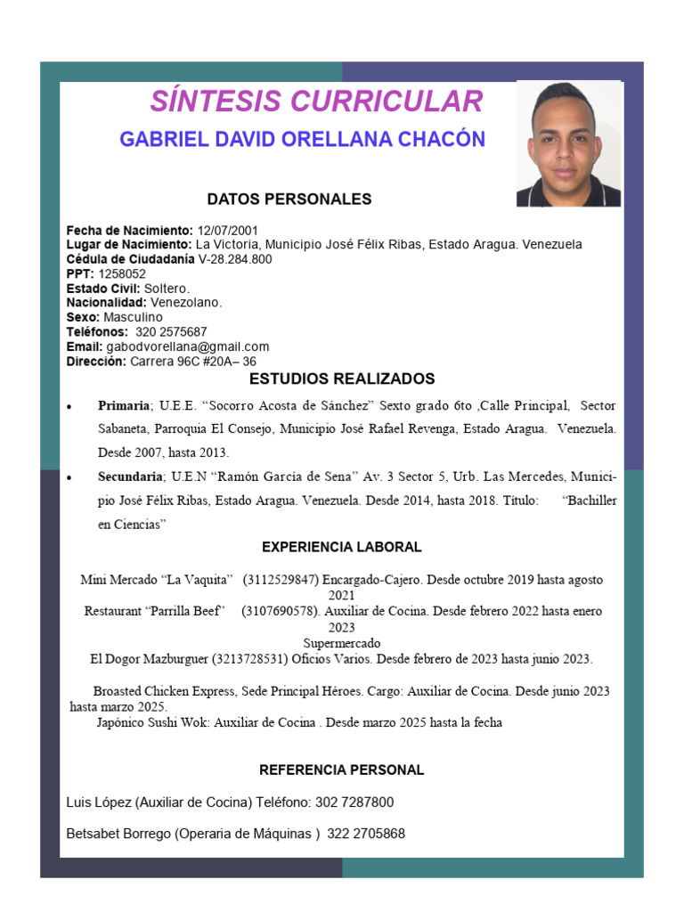 Currículum de Gabriel Orellana Chacón | PDF