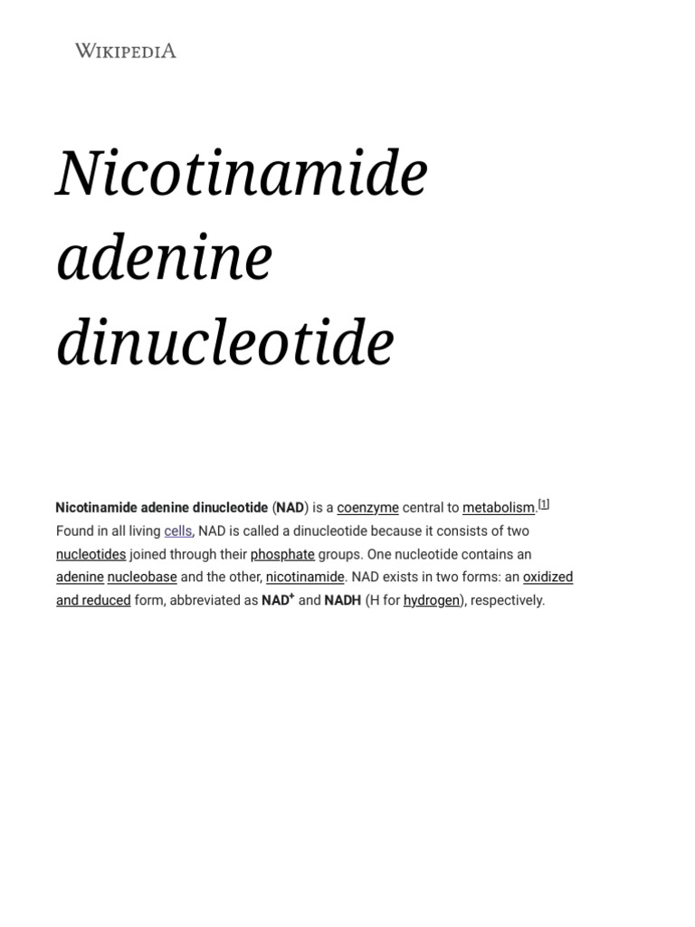Nicotinamide Adenine Dinucleotide - Molecular Compounds | PDF ...