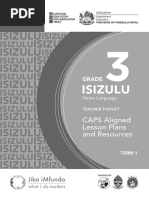 CAPS Lesson Plan Guidelines | PDF | Learning | Lesson Plan