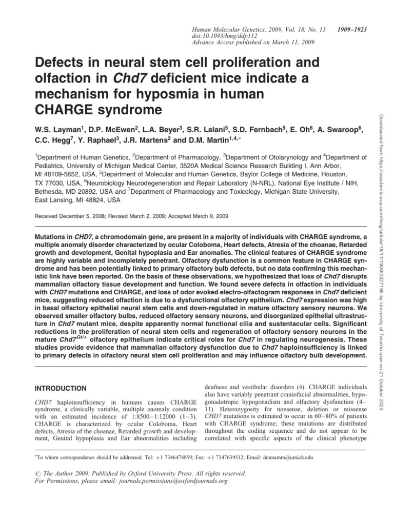 Layman Et Al. - Defects in Neural Stem Cell Proliferation and Olfa ...