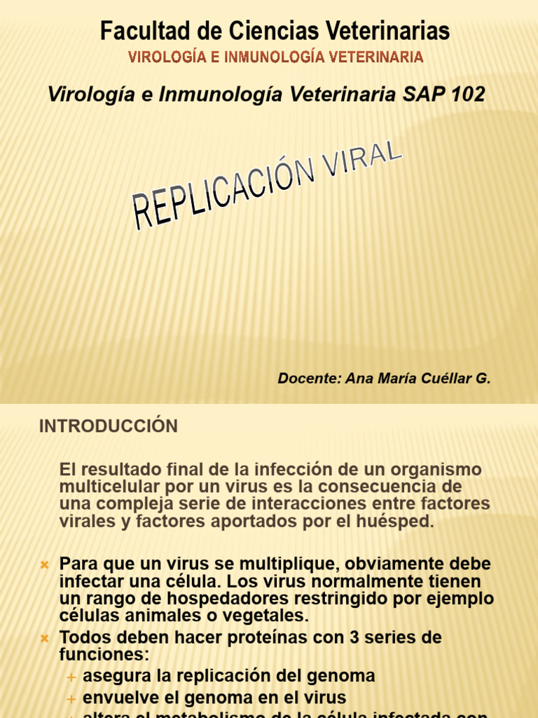 Replicacion Viral | PDF | Virus | Rna