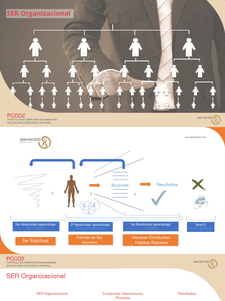 2) Presentación Lab3 Org - PCCO2 - 2024 | PDF | Aprendizaje | Liderazgo