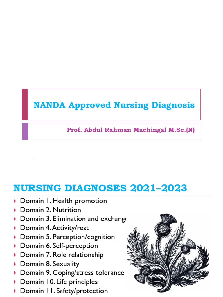 NANDA Nursing Diagnoses Overview 2021-2023 | PDF | Urinary Incontinence ...