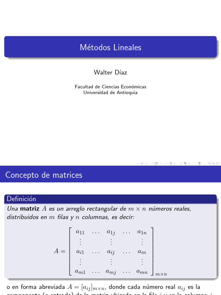 Capitulo 1 Métodos Lineales | PDF | Matriz (Matemáticas) | Conceptos ...