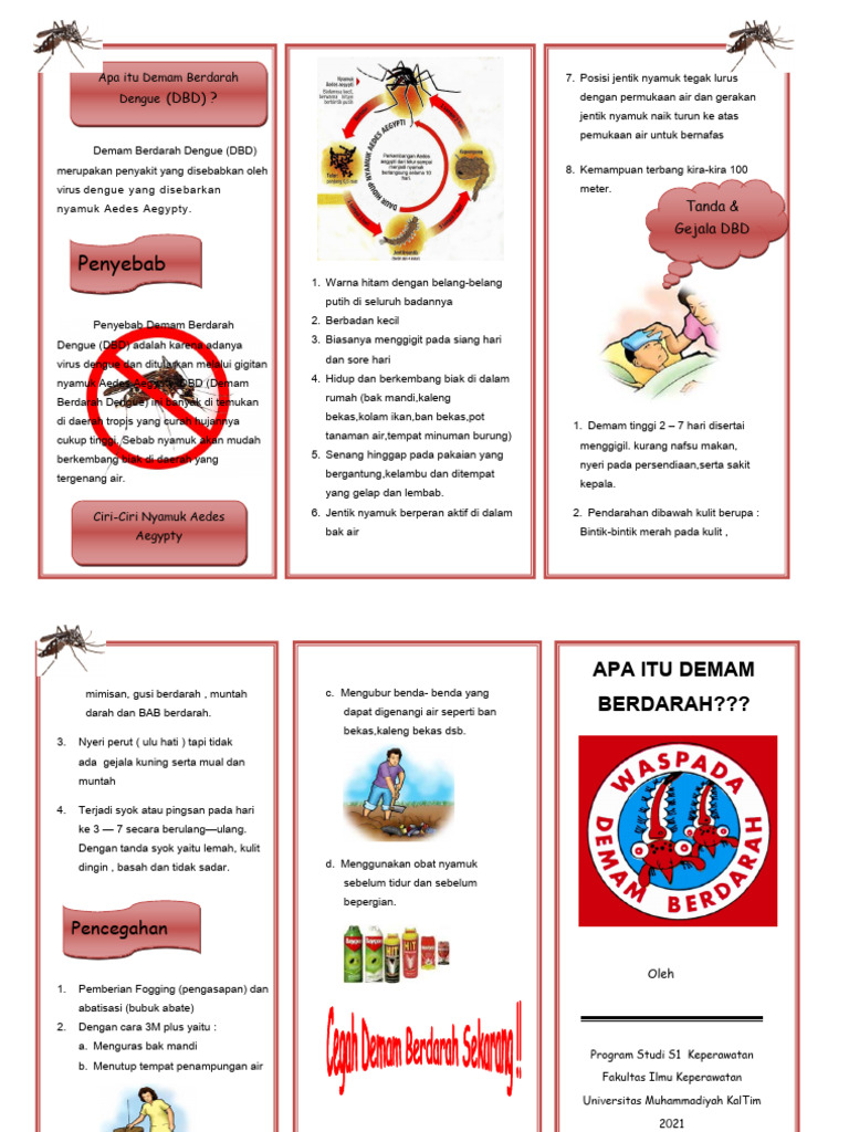 Contoh Leaflet New | PDF