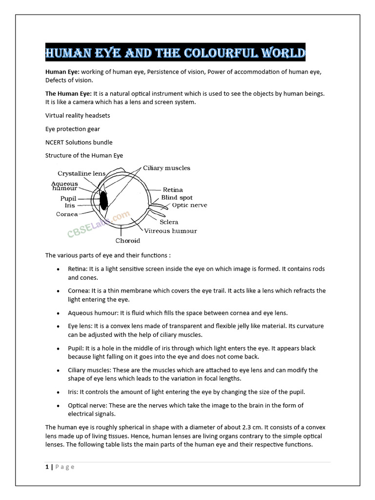 Human Eye and The Colourful World | PDF | Eye | Human Eye