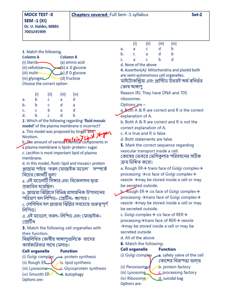 Full Mock 3 Set 2 Xi ANS | PDF | Meiosis | Vesicle (Biology And Chemistry)