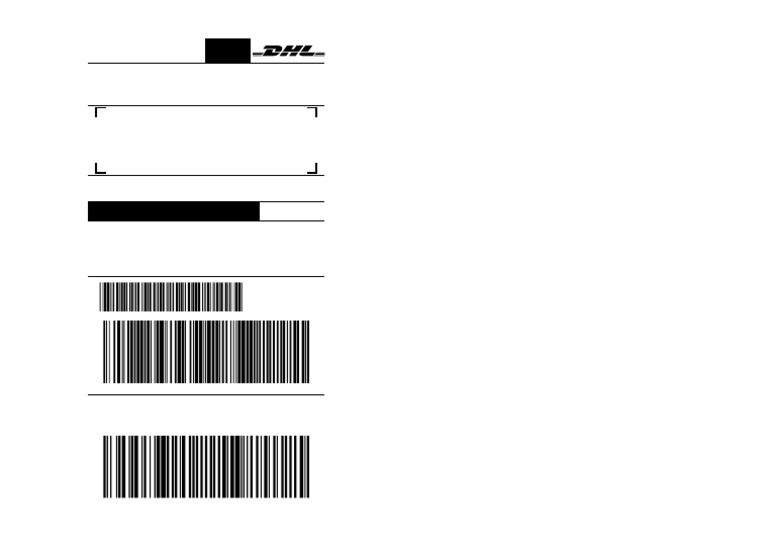 DHL Label 100 | PDF
