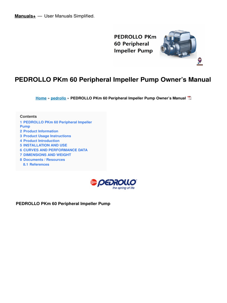 Pedrollo PKm 60 Pump Manual | PDF | Pump | Water