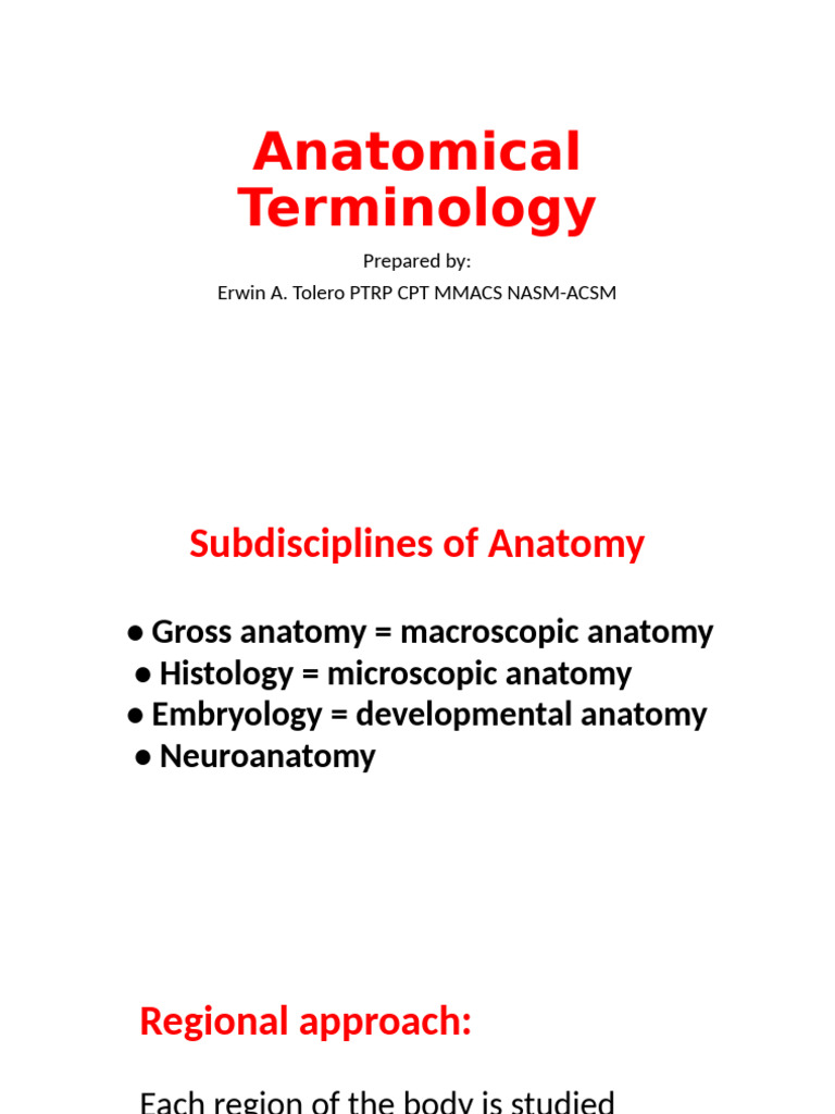 Anatomical Terminology | PDF