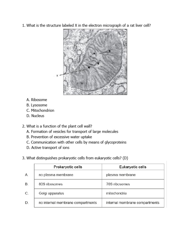 QBP112 Ultrastructure of Cells - 250824 - 144436 | PDF | Cell (Biology ...