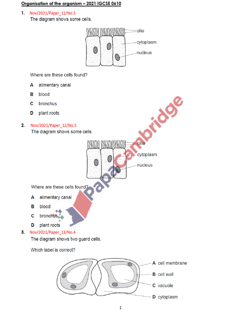 2021N Organisation of The Organism IGCSE 0610 | PDF