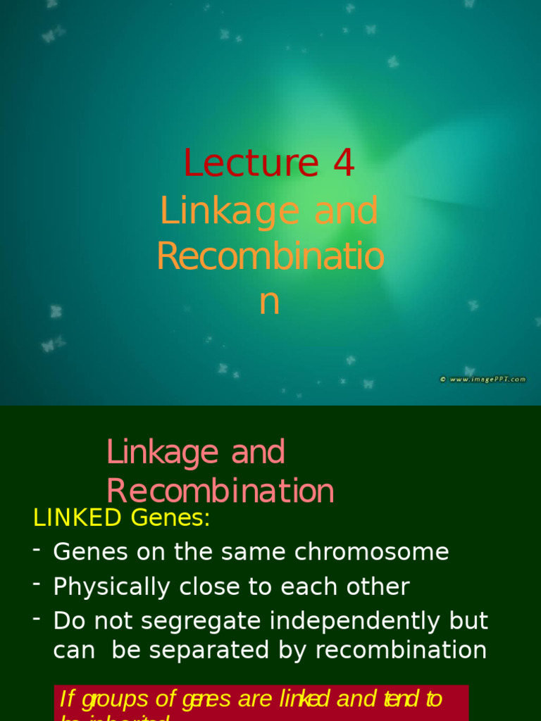 2ND Lec 4 | PDF | Genetic Linkage | Genetic Recombination